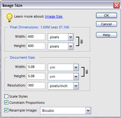 Saving an Image for Web Viewing in Photoshop & Photoshop Elements ...